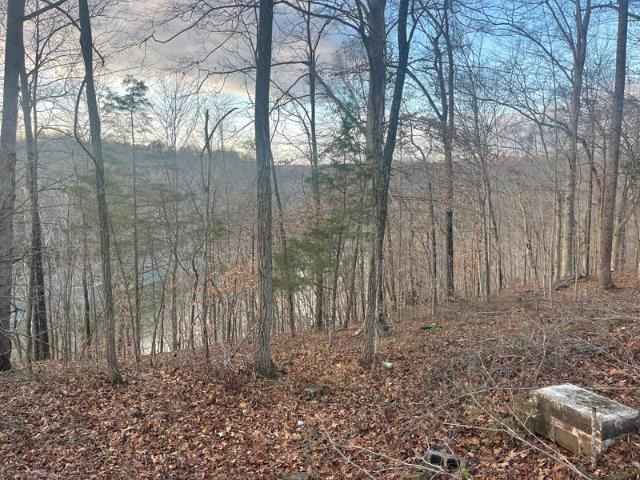 Lot 82 Pleasant View