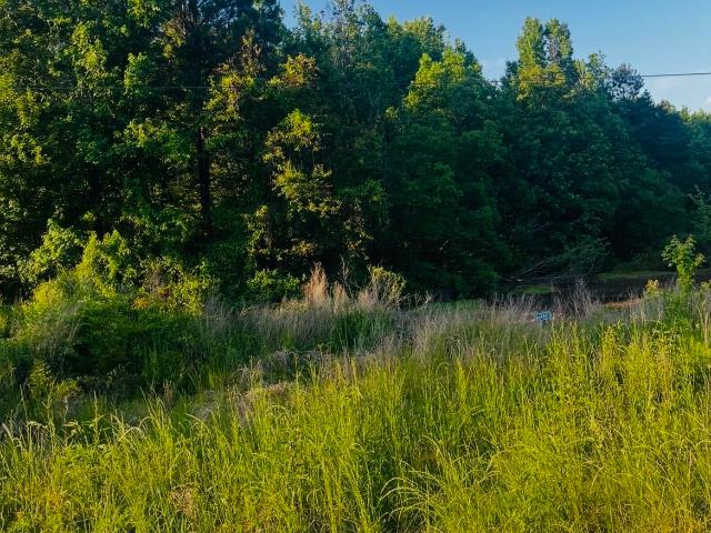 Lot 83 Parkwood