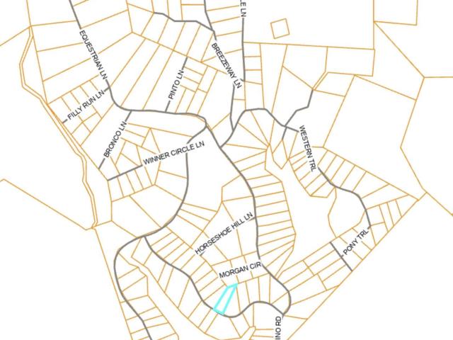 Lot 84 Appaloosa Lake Drive # 84