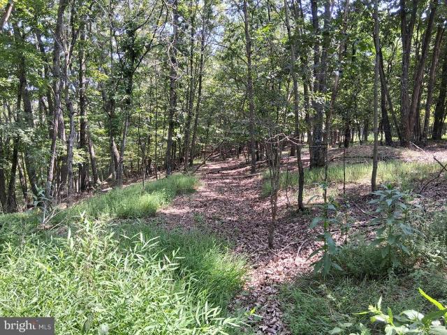 Lot 84 Roundtop Lane