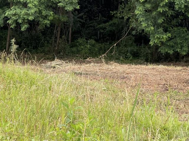 Lot 84C Mallard Rd