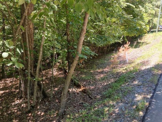 Lot 853 Matrix Ln, Ellijay, GA 30540 | MLS #429917