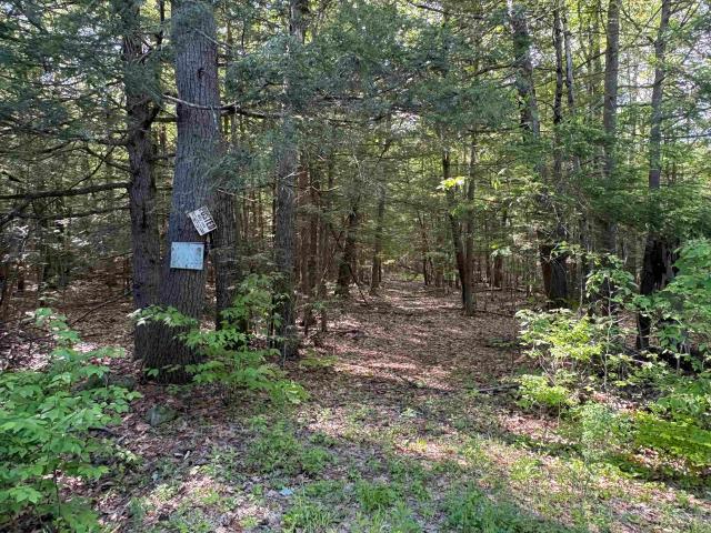 Lot 85 Currier Road