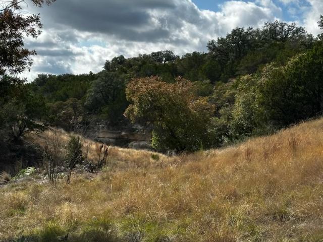 Lot 85 seven Springs, Junction, TX 76849 | MLS #4439