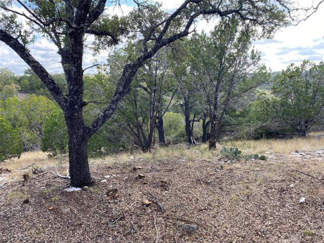 Lot 85, Seven Springs R. Spring Xing
