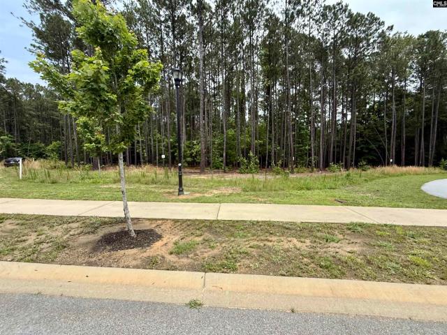 Lot 85 Timber Trail Lane Lot 85