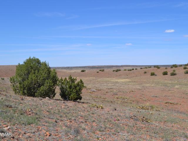 Lot 863 ACR N8497