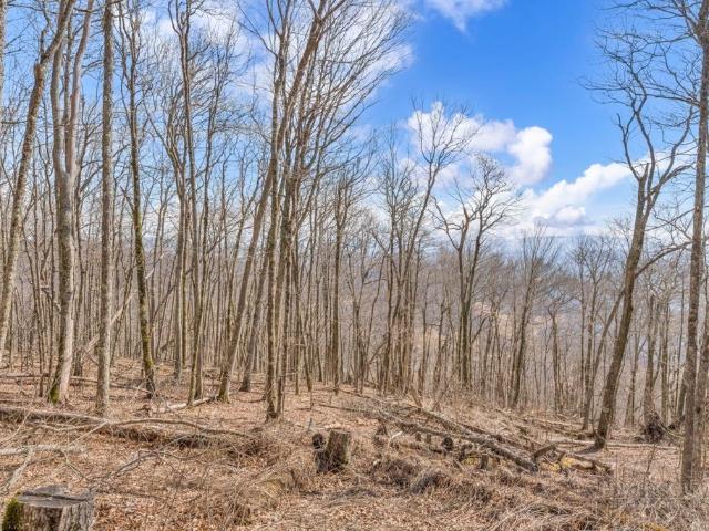 Lot 86 Elk Mountain Parkway
