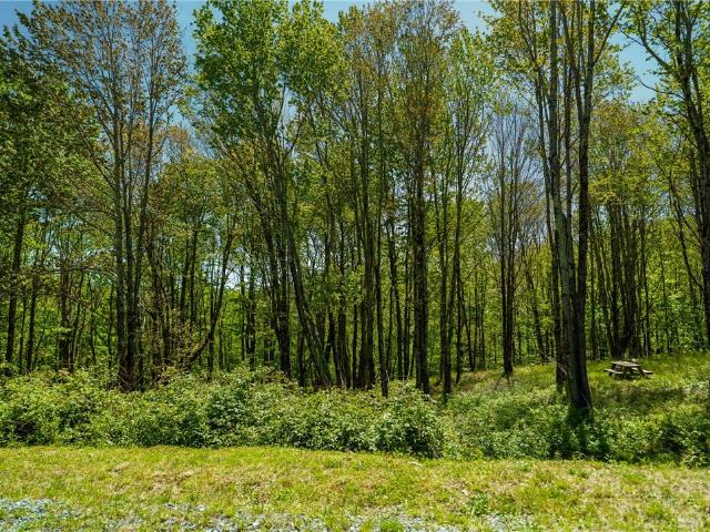 Lot 86 Featherwood Trail