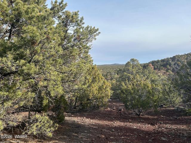 Lot 86 Ricks Road
