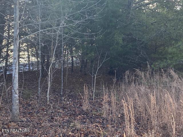 Lot 875 Clearwater Rd