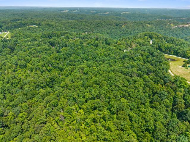 Lot 87, 64 Pinecrest Drive