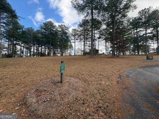 Lot 87 creek hollow lane
