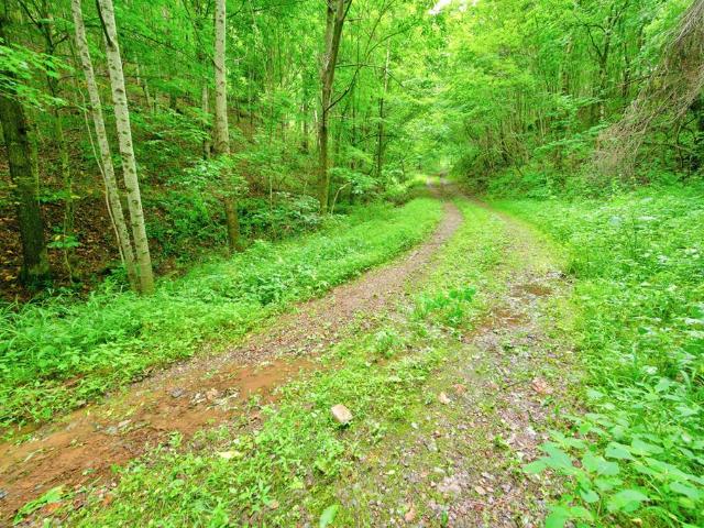 Lot 87 Goodpasture Hollow Rd