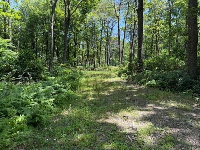 Lot 87 Laurel