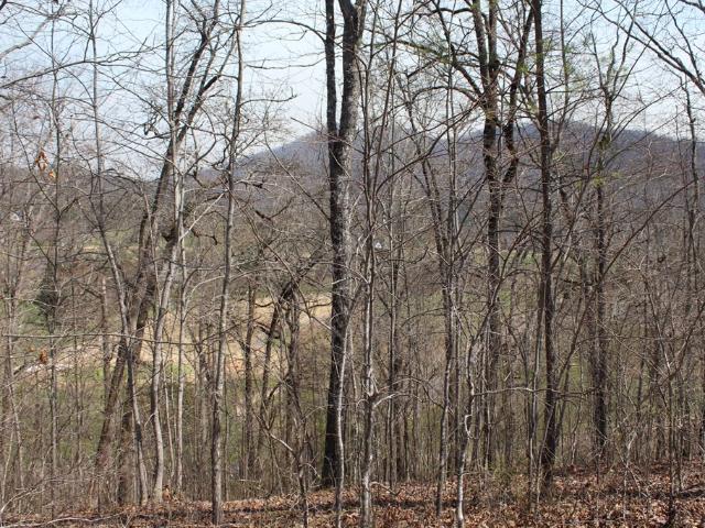Lot 87 Licklog Ridge, Hayesville, NC 28904 | MLS #429052