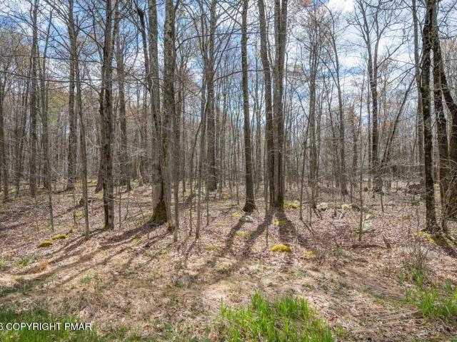 Lot 87 Pioneer Trail