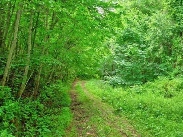 Lot 88 Goodpasture Hollow Rd