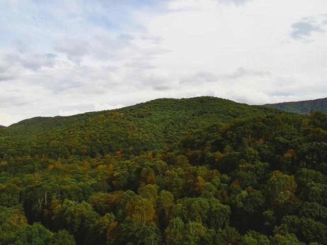 Lot 88 Nye Valley Rd Cove Creek
