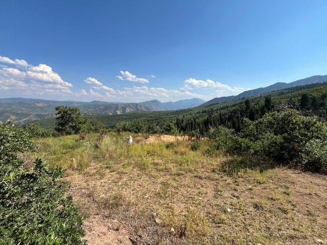 Lot 88, Springville, UT 84663