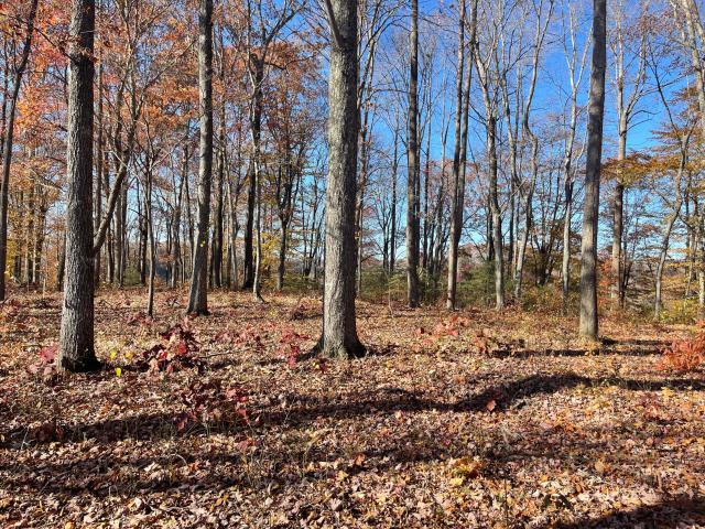 Lot 88 Stillwater