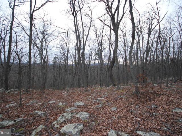 Lot 88 Wakeman Drive