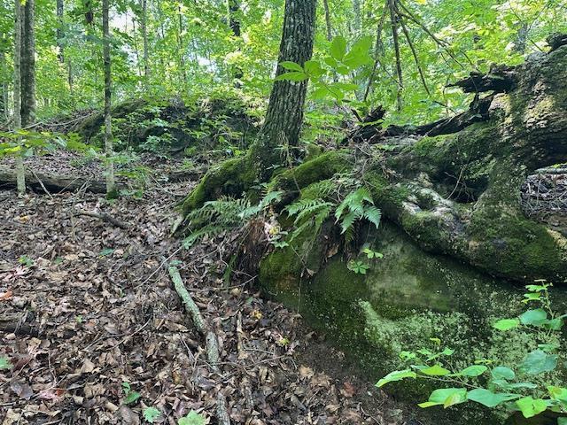 Lot 89 Bobcat Lane