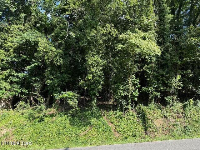 Lot 89 Edgewater Ave, Dayton, TN 37321 | MLS #1311 | Compass