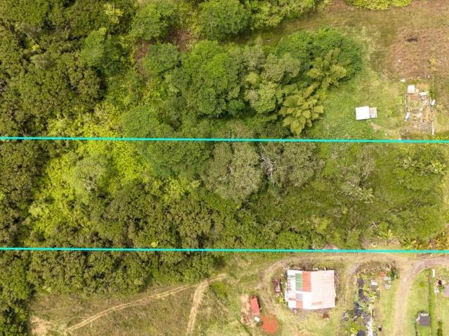 Lot 89 Huina Rd, Mountain View, HI 96771 | MLS #202522