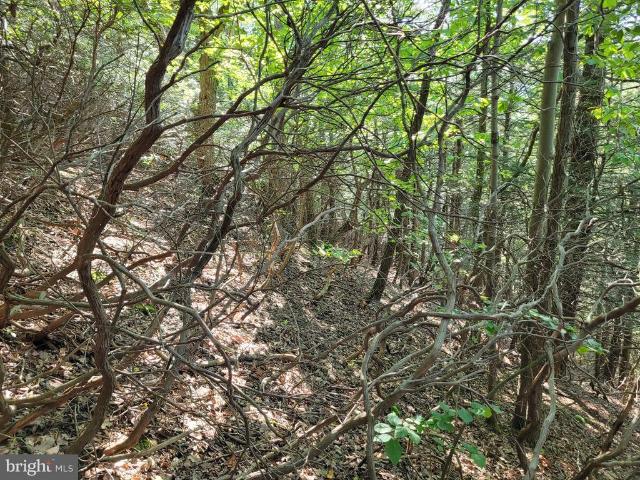 Lot 89 Ridge Run