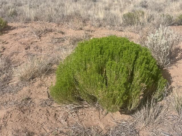 Lot 89 Zuni
