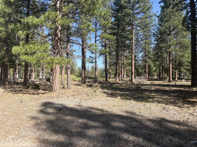 Lot 8 9 Harney Court