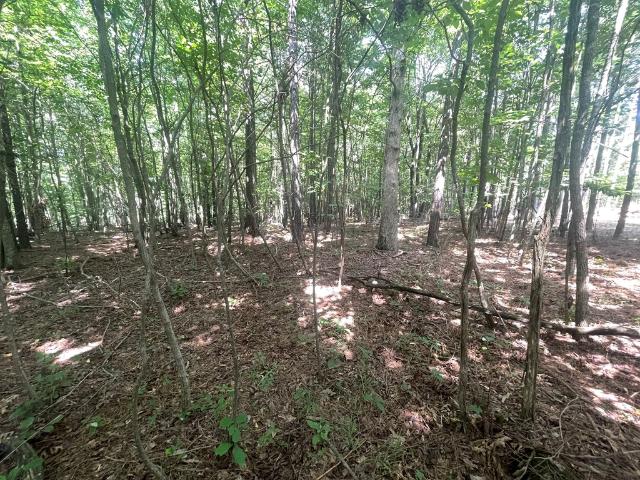 Lot 8 Tall Woods Ln