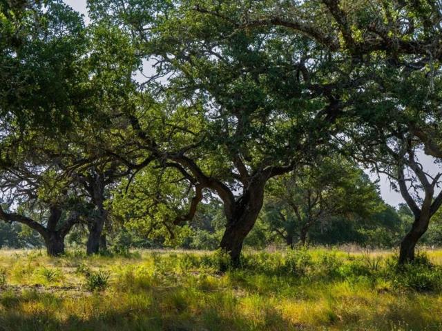 Lot 8 Tuscany Drive, Driftwood, US, TX