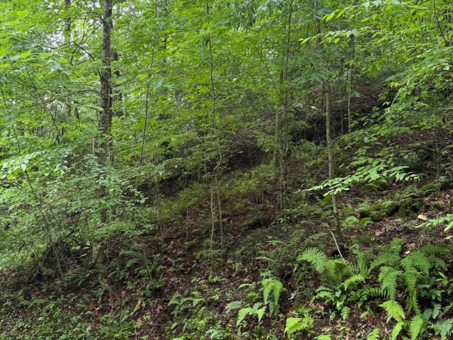 Lot 8 Vista Loop Road # Lot 8