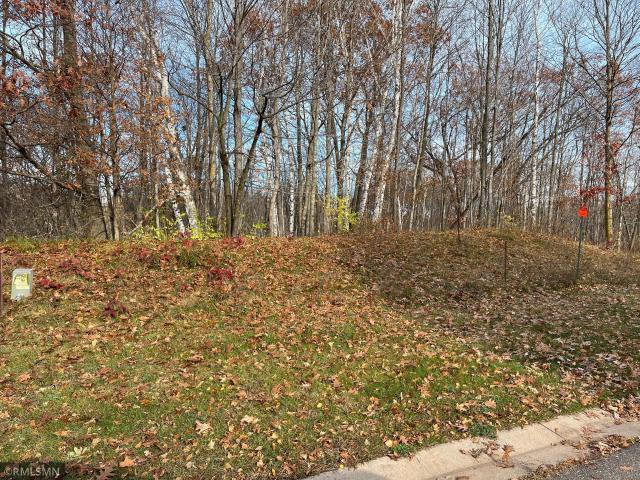 Lot 8 Wilderness Hills Ln, Luck, WI 54853 | MLS #6808