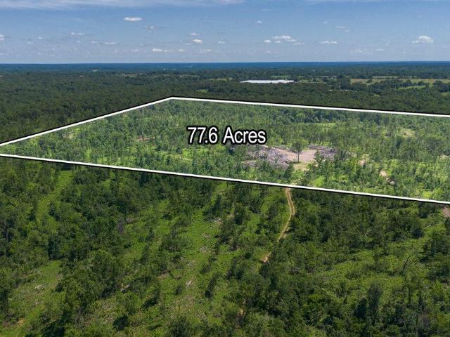 Lot 8 Adams Road