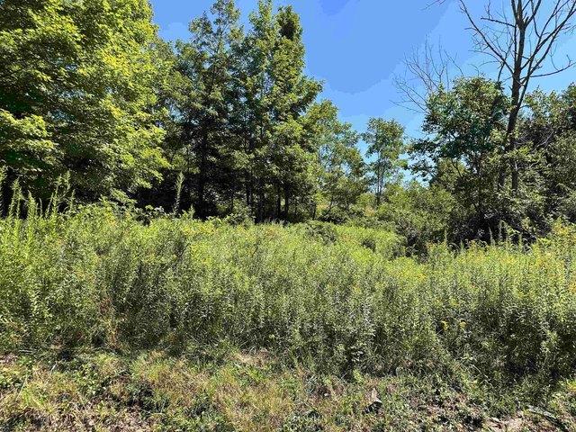 Alpenglow Ridge Dr Lot 8, Dryfork, WV 26260