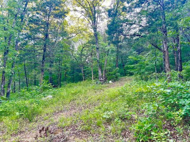 Lot 8 and 9 Ripplin Shoals