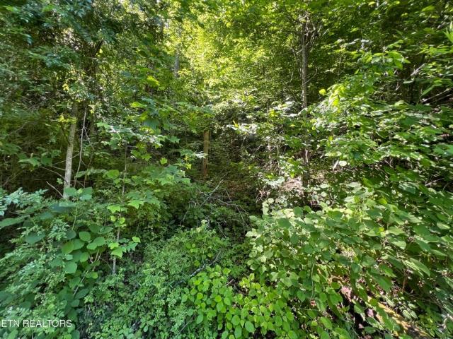 Lot 8 Apache Rd