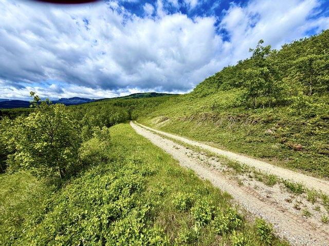 Lot 8, Arlie Tract, MT 59411