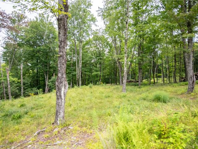 Lot 8 Beaver Creek Hollow Road