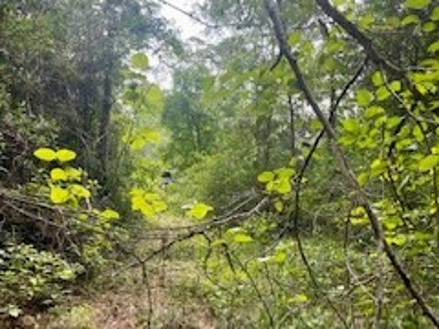 LOT 8 BLOCK 22 Lonestar Road