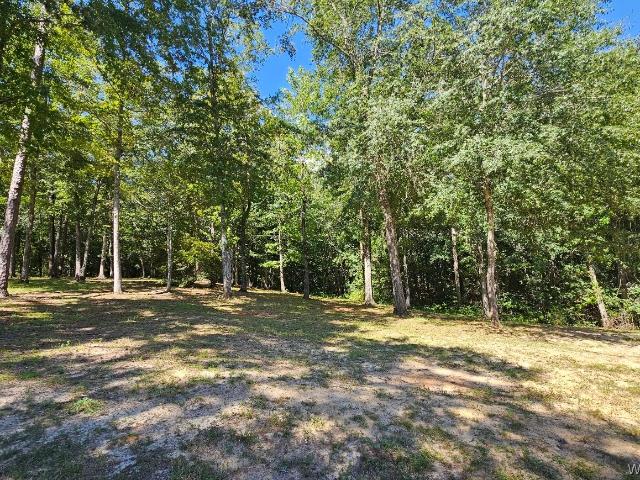 Lot 8 Block I Horseshoe Bend Drive