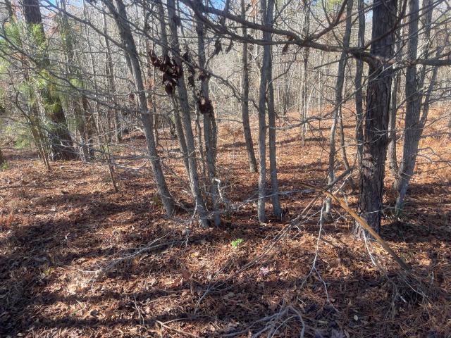 LOT 8 Black Pearl Drive