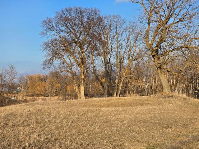 Lot 8 Branch Creek Road
