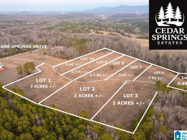Lot 8 cedar springs drive # 8