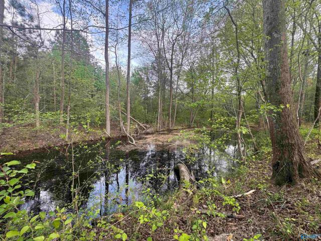 Lot 8 County Road 496
