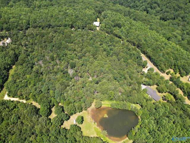 Lot 8 County Road 166 Citadel Rock Road