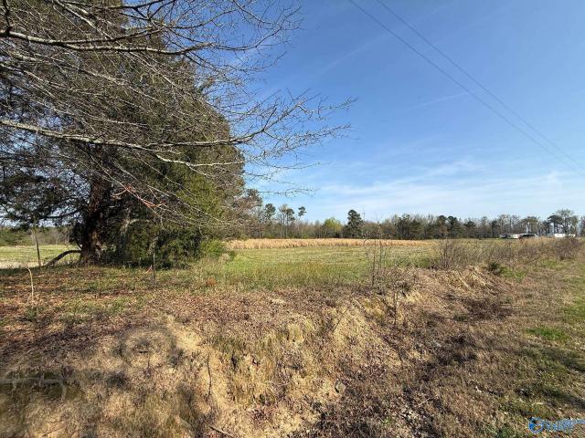 Lot 8 County Road 318